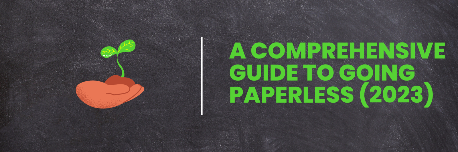A Comprehensive Guide to Going Paperless (2023)